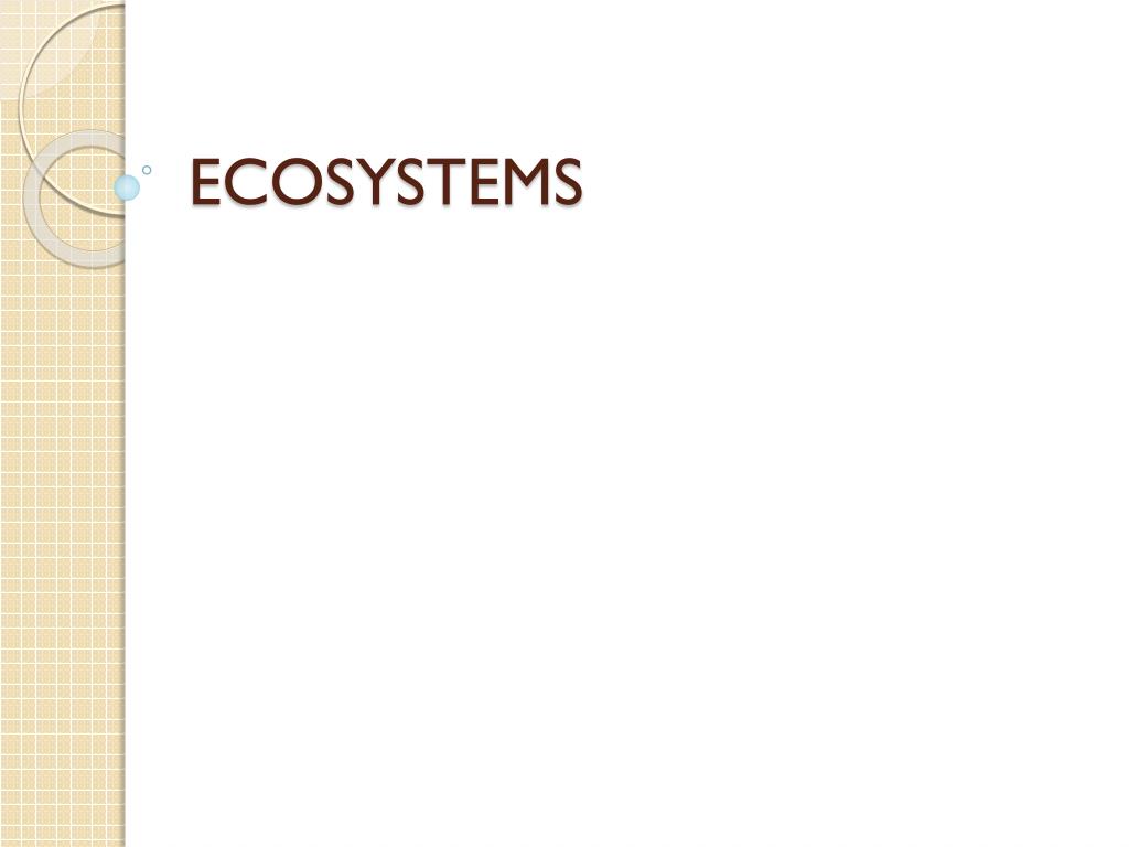 PPT - ECOSYSTEMS PowerPoint Presentation, free download - ID:2531811