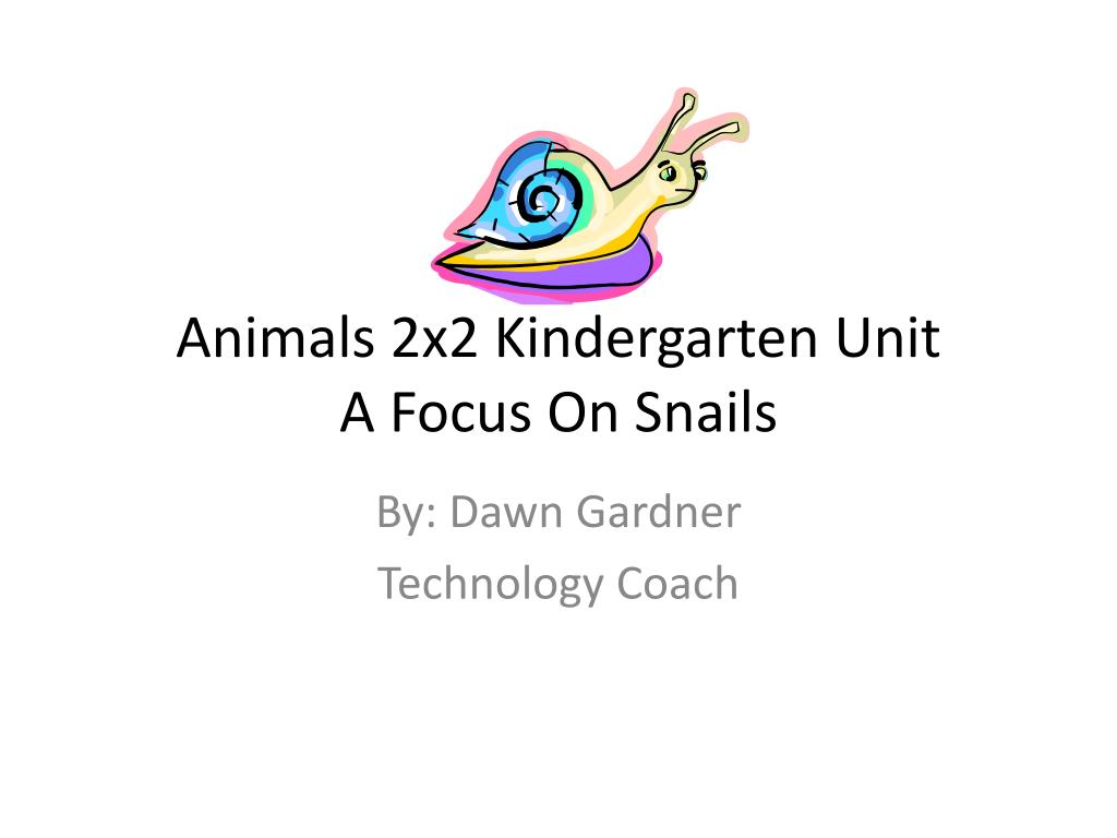 PPT - Animals 2x2 Kindergarten Unit A Focus On Snails PowerPoint ...
