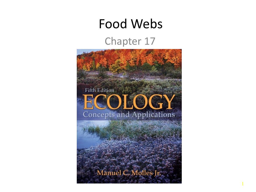 PPT - Food Webs PowerPoint Presentation, free download - ID:2532301