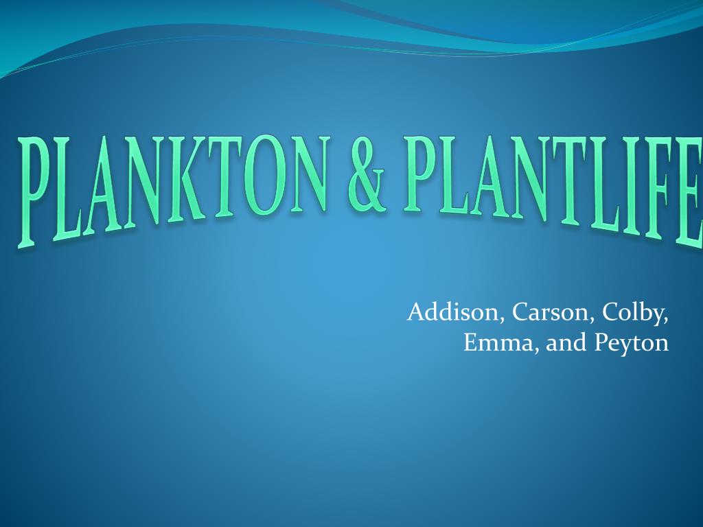 PPT - Addison, Carson, Colby, Emma, and Peyton PowerPoint Presentation ...