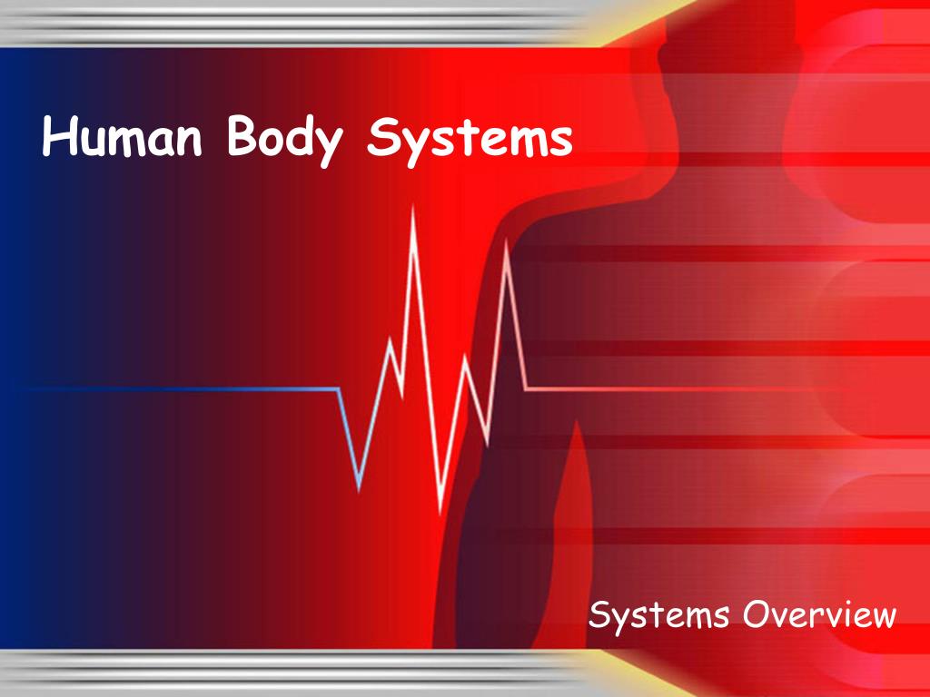 PPT - Human Body Systems PowerPoint Presentation, free download - ID ...