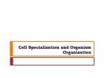 PPT - Organization of the Cell PowerPoint Presentation, free download ...