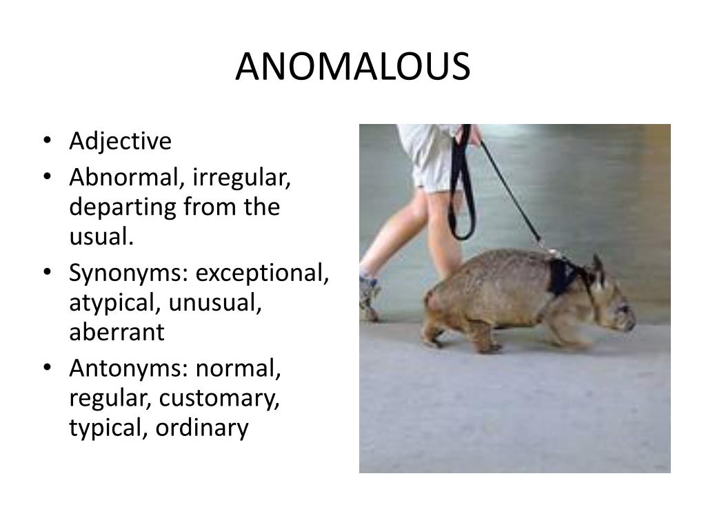 PPT - ANOMALOUS PowerPoint Presentation, free download - ID:2537610