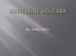 PPT - Dr. Katharine Kolcaba PowerPoint Presentation, free download - ID ...