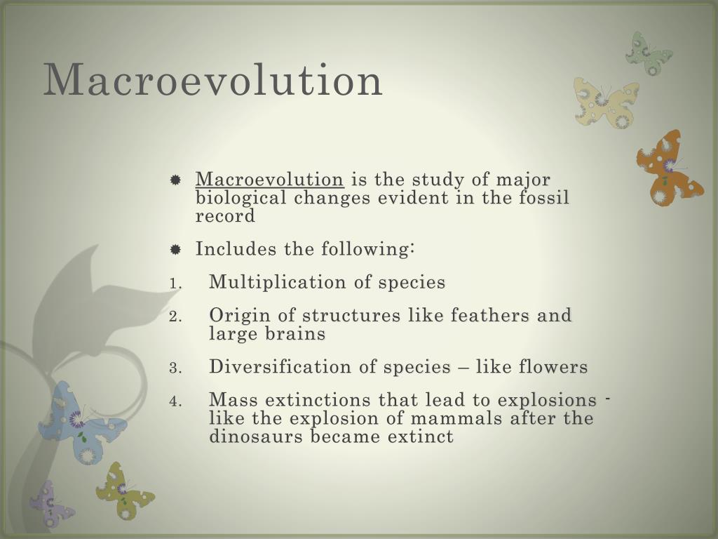 PPT - Macroevolution PowerPoint Presentation, free download - ID:2537951