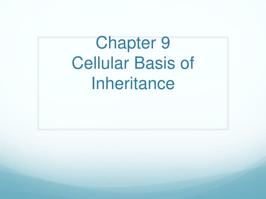 PPT - Chapter 9 Cellular Basis of Inheritance PowerPoint Presentation ...
