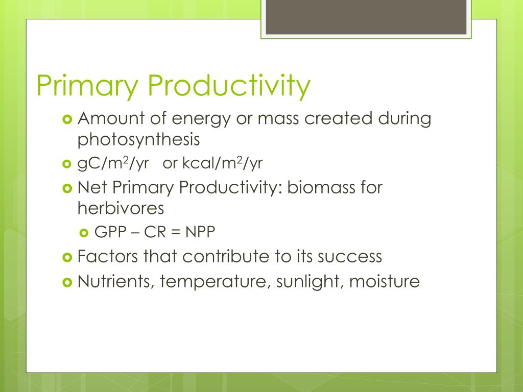 PPT - Primary Productivity PowerPoint Presentation, free download - ID ...