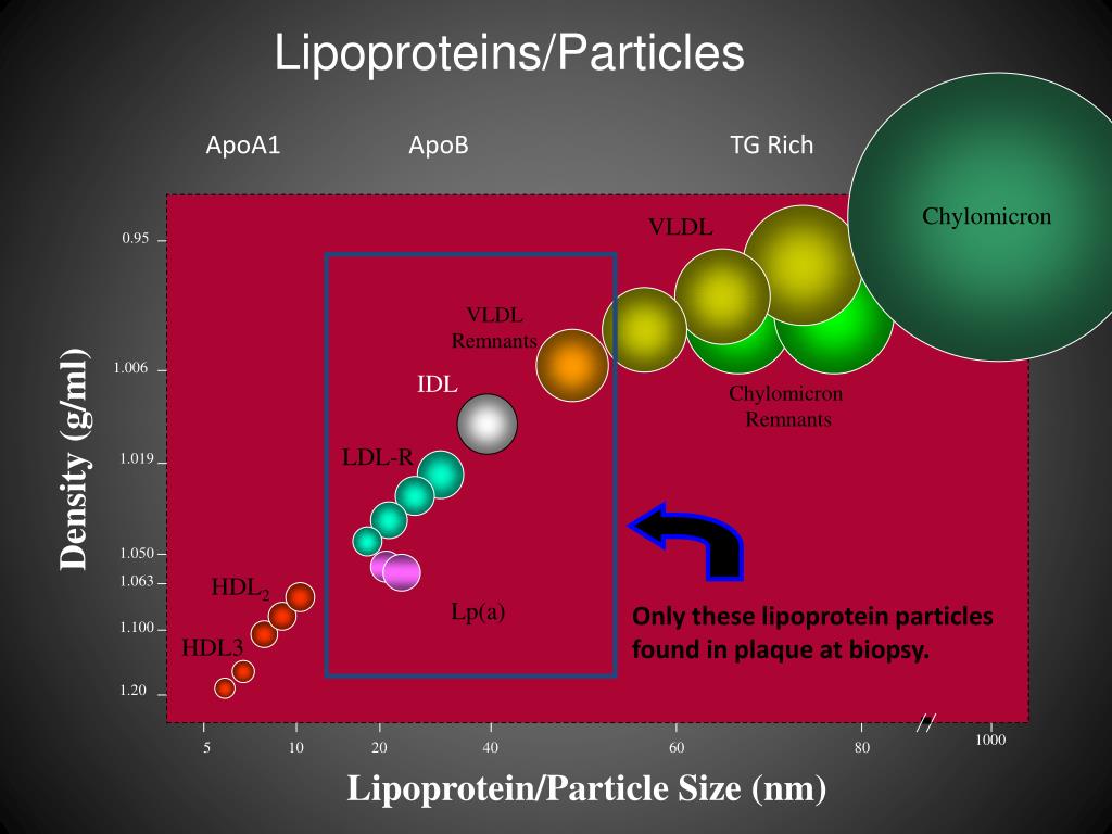 PPT - Lipoproteins/Particles PowerPoint Presentation, free download ...