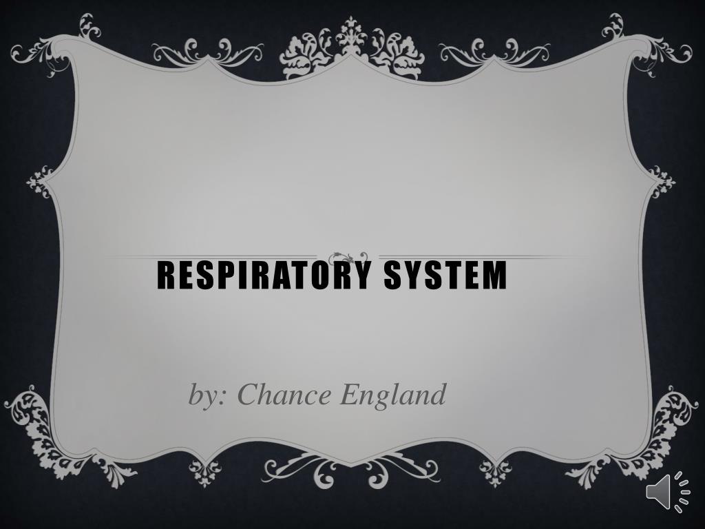PPT - respiratory system PowerPoint Presentation, free download - ID ...