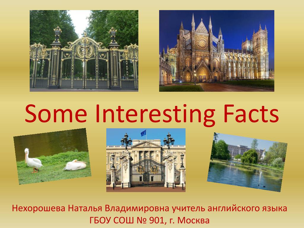 PPT - Some Interesting Facts PowerPoint Presentation, free download ...
