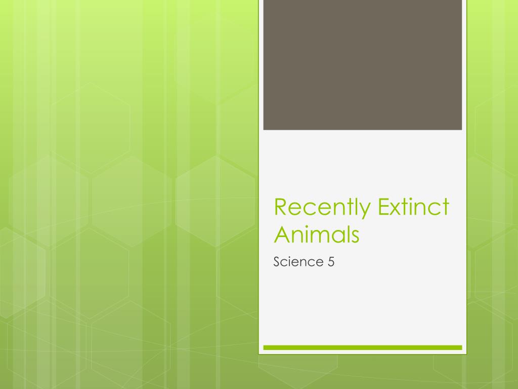 PPT - Exploring Recently Extinct Animals in Science PowerPoint ...
