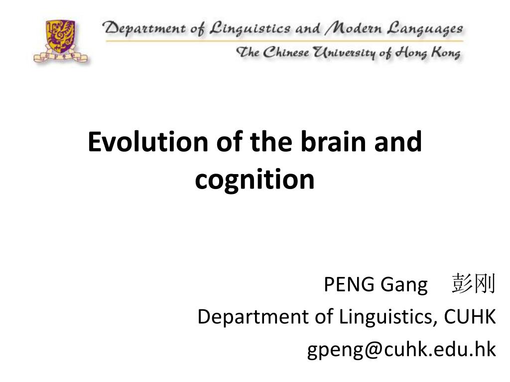 PPT - Evolution of the brain and cognition PowerPoint Presentation ...