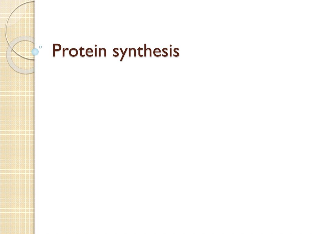 PPT - Protein synthesis PowerPoint Presentation, free download - ID:2567160