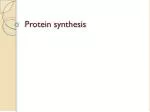 PPT - Protein Synthesis PowerPoint Presentation, free download - ID:4150030