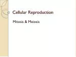 PPT - Cellular Reproduction PowerPoint Presentation, free download - ID:1457909