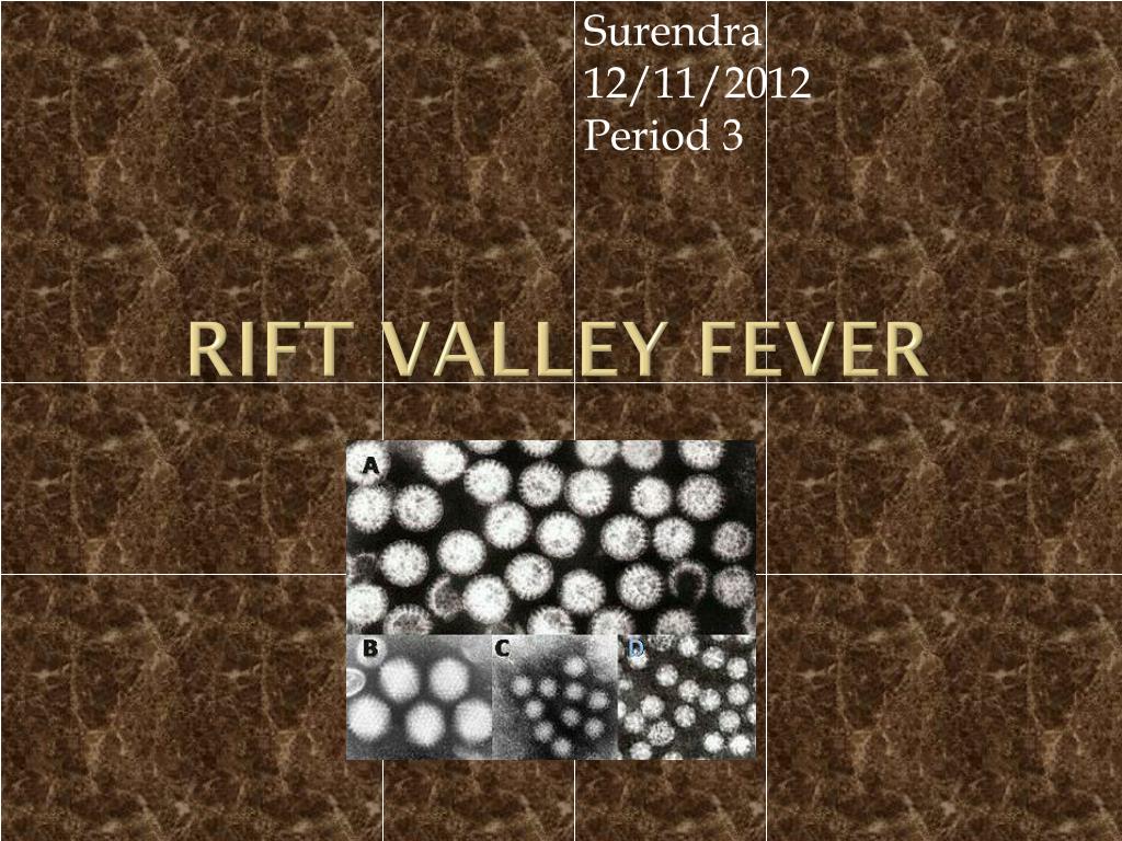 PPT - Rift Valley Fever PowerPoint Presentation, free download - ID:2568953