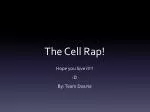 PPT - The Dewey Rap PowerPoint Presentation, free download - ID:254670