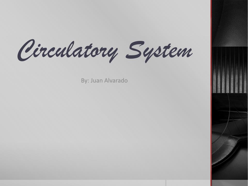 PPT - Circulatory System - Heart, Blood, Vessels, and Functions ...