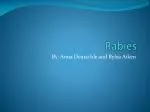 PPT - Rabies PowerPoint Presentation, free download - ID:9303441