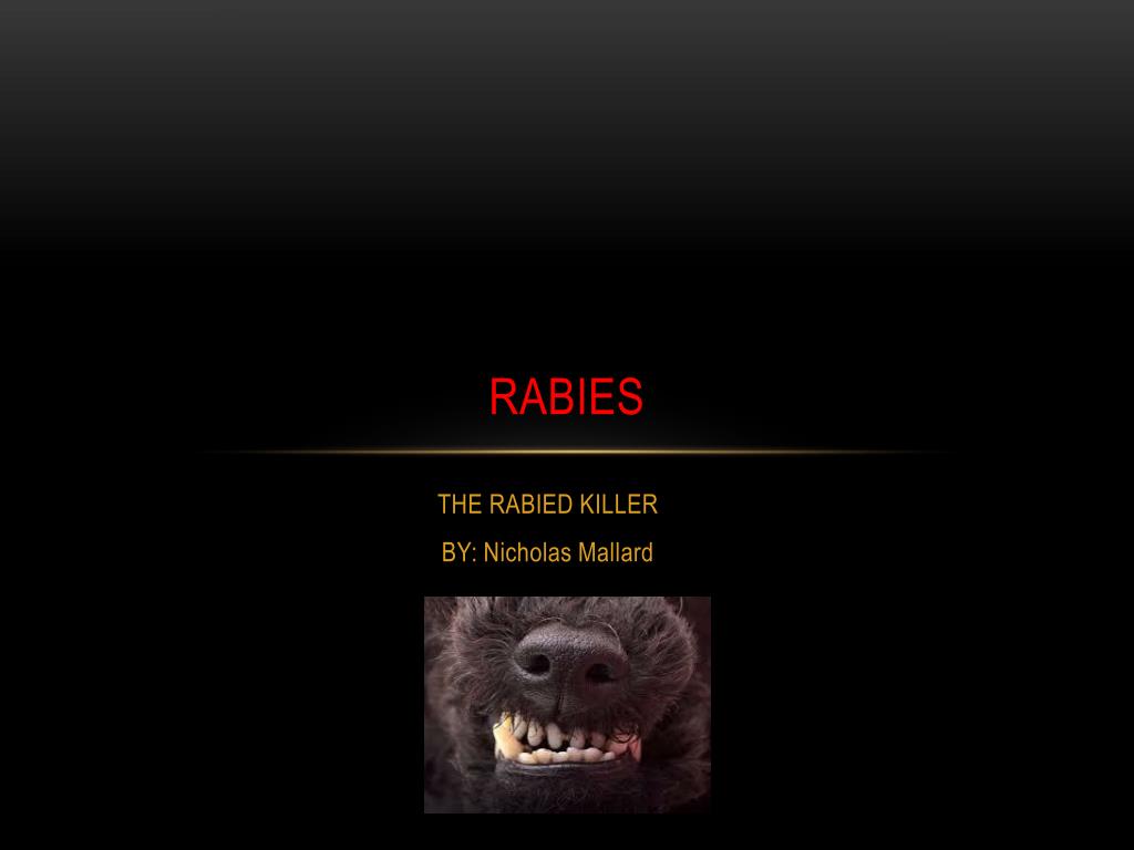 PPT - Rabies PowerPoint Presentation, free download - ID:2575374