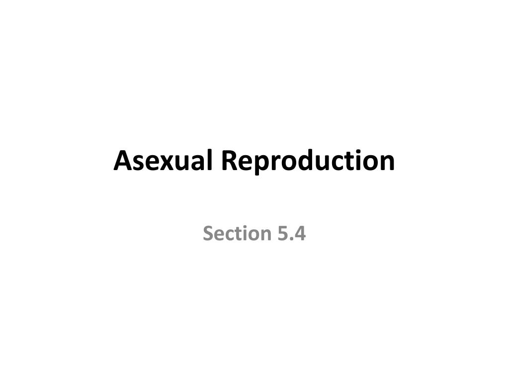 PPT - Asexual Reproduction PowerPoint Presentation, free download - ID ...