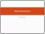 PPT - MACROEVOLUTION - Speciation PowerPoint Presentation, free ...