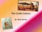 PPT - Caddo Tribe PowerPoint Presentation, free download - ID:2322679
