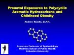 PPT - POLYCYCLIC AROMATIC HYDROCARBONS PowerPoint Presentation, free ...