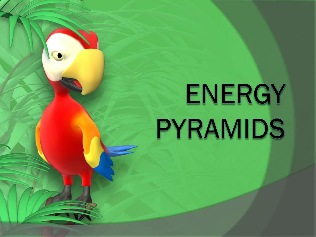 PPT - Energy Pyramids PowerPoint Presentation, free download - ID:2582786