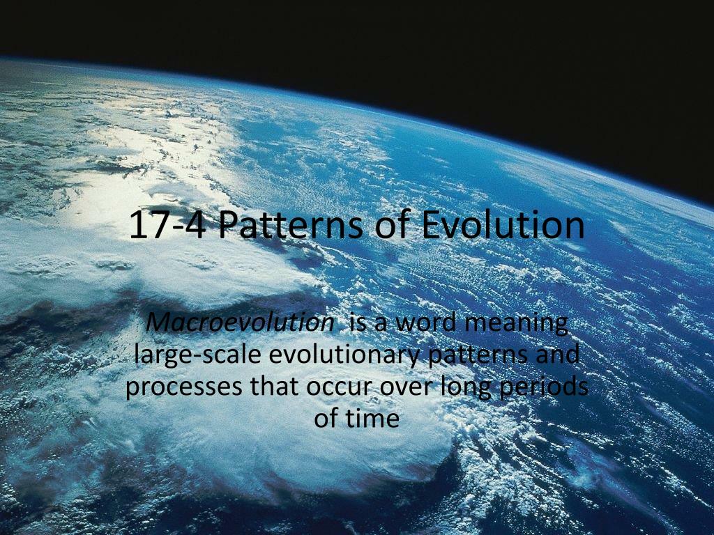 PPT - 17-4 Patterns of Evolution PowerPoint Presentation, free download ...