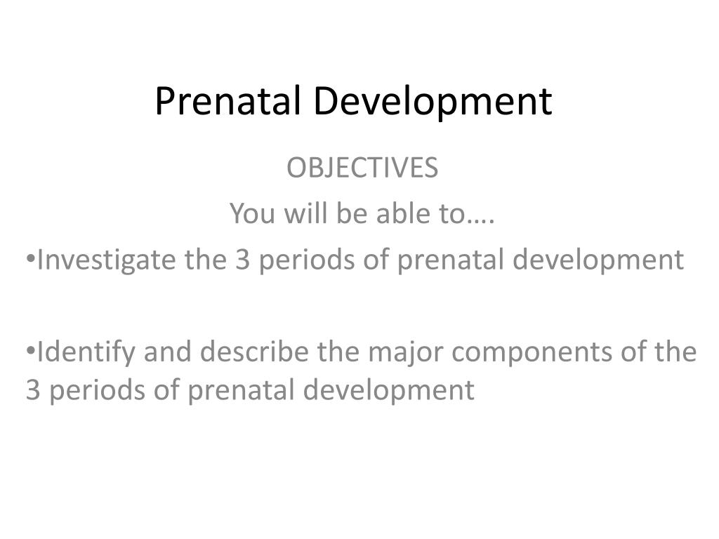 PPT - Prenatal Development PowerPoint Presentation, free download - ID ...