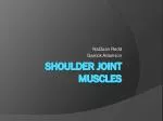 PPT - Knee joint and Muscles of Leg PowerPoint Presentation, free ...