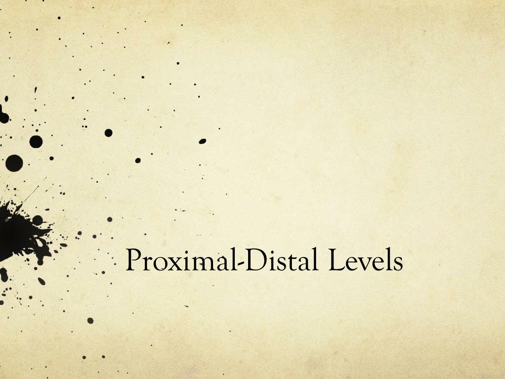 PPT - Proximal-Distal Levels PowerPoint Presentation, free download ...