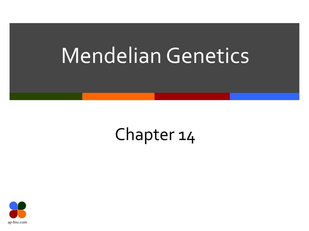 PPT - Mendelian Genetics PowerPoint Presentation, free download - ID ...