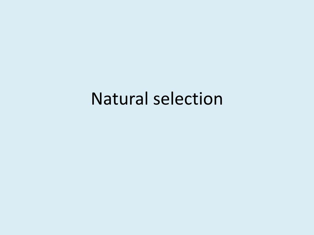 PPT - Natural selection PowerPoint Presentation, free download - ID:2589124
