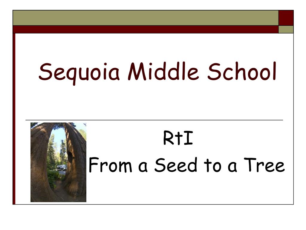 PPT - Sequoia Middle School PowerPoint Presentation, free download - ID ...