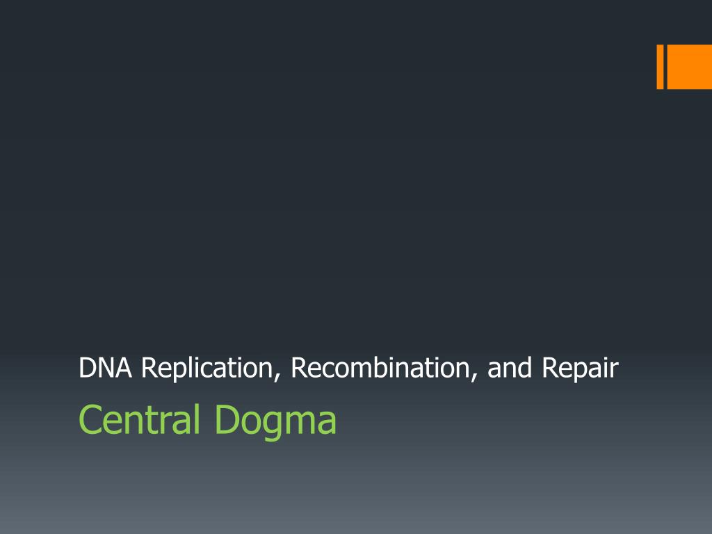 PPT - Central Dogma PowerPoint Presentation, free download - ID:2591624