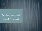 PPT - Fossil Record PowerPoint Presentation, free download - ID:3100532