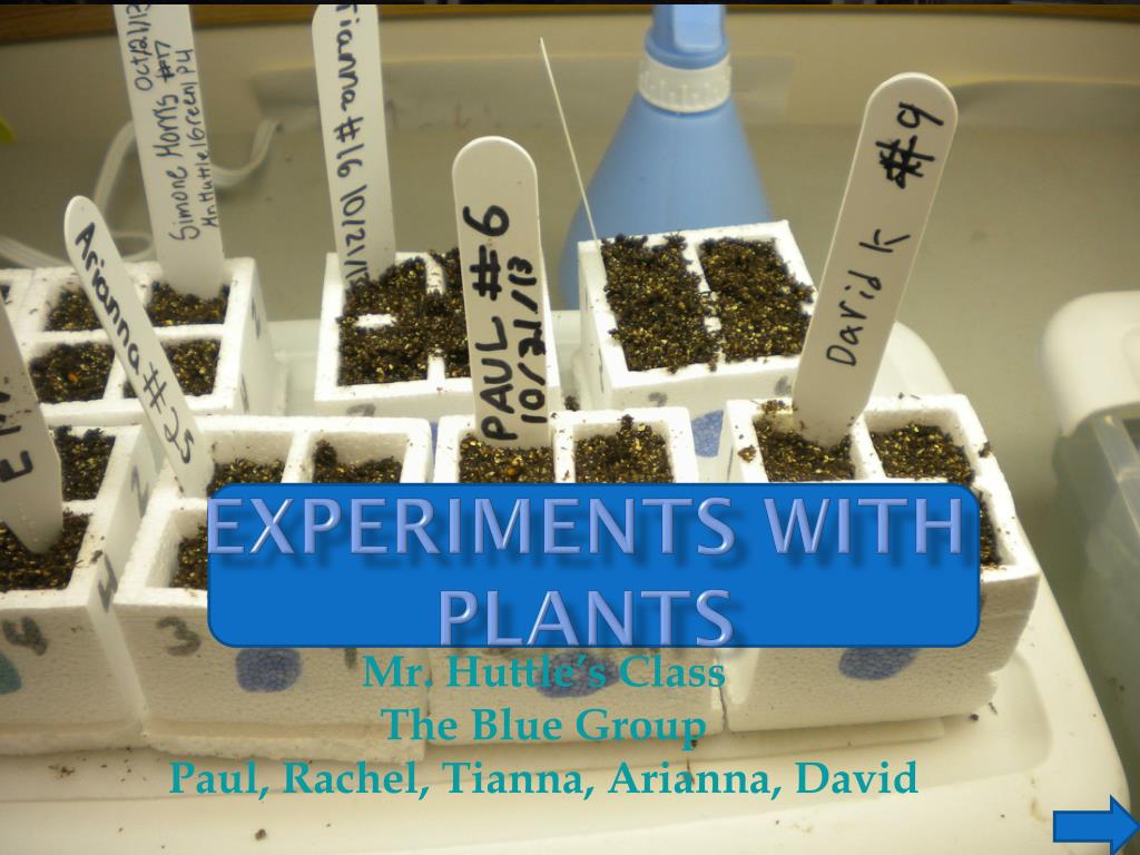 PPT - Experiments with Plants PowerPoint Presentation, free download ...