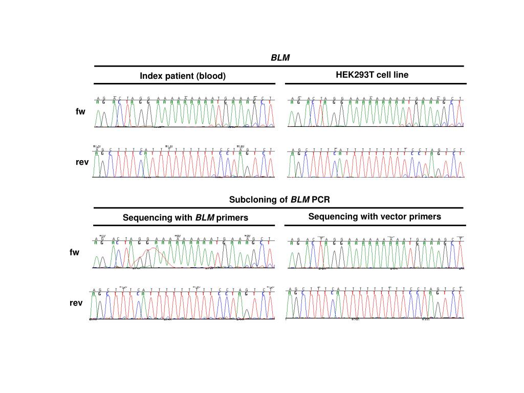 PPT - BLM PowerPoint Presentation, free download - ID:2596478