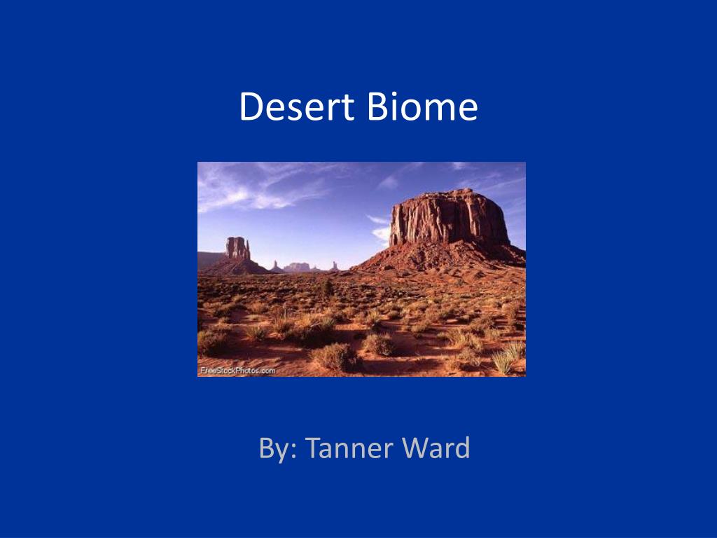 PPT - Desert Biome PowerPoint Presentation, free download - ID:2597209
