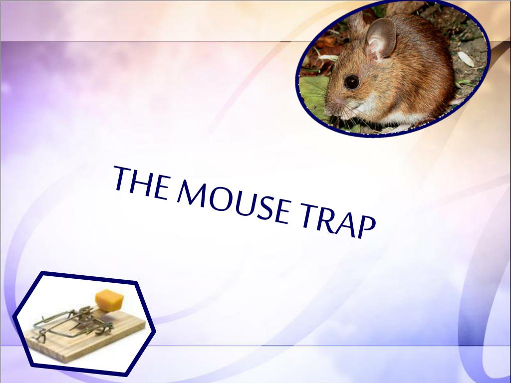 PPT - THE MOUSE TRAP PowerPoint Presentation, free download - ID:2598413