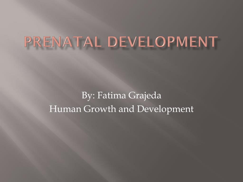 PPT - Prenatal Development PowerPoint Presentation, free download - ID ...