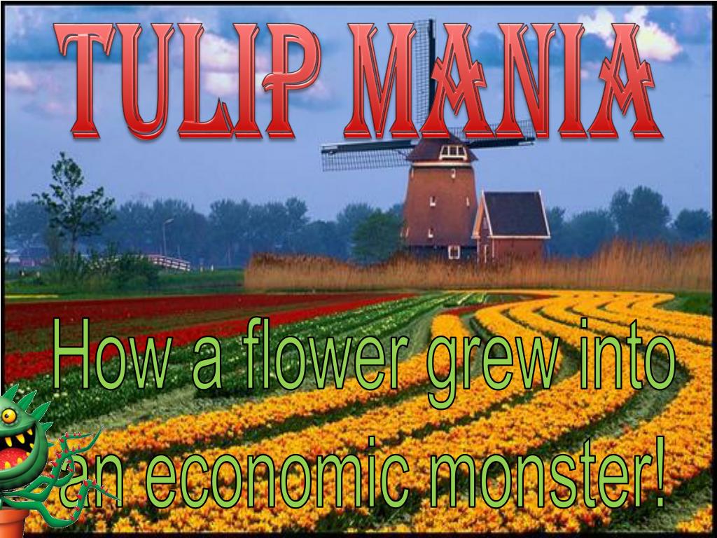 PPT - Tulip Mania PowerPoint Presentation, free download - ID:2600242