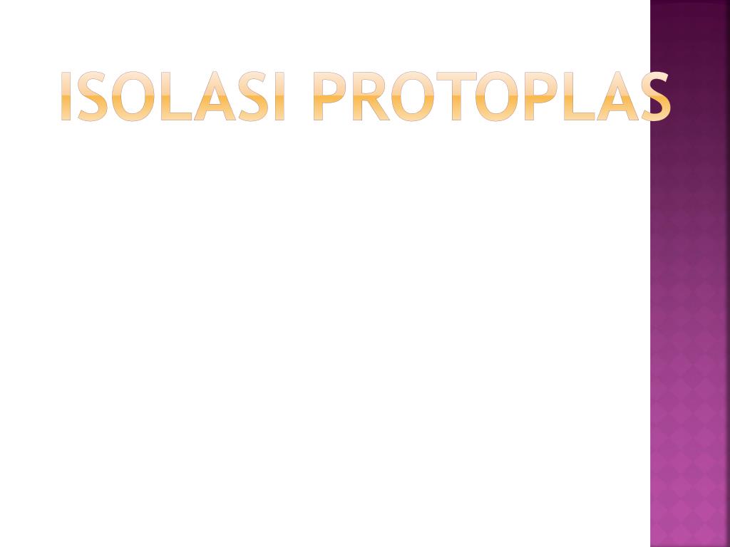 PPT - Isolasi Protoplas PowerPoint Presentation, free download - ID:2600322