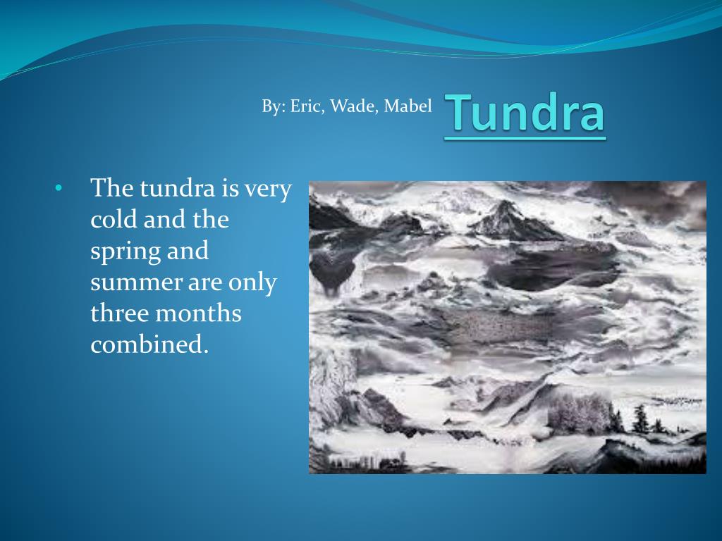 PPT - Tundra PowerPoint Presentation, free download - ID:2600384