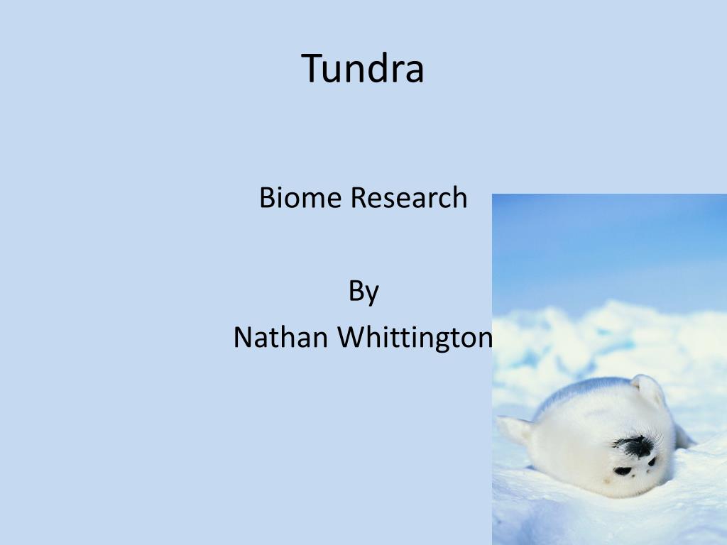 PPT - Tundra PowerPoint Presentation, free download - ID:2600405