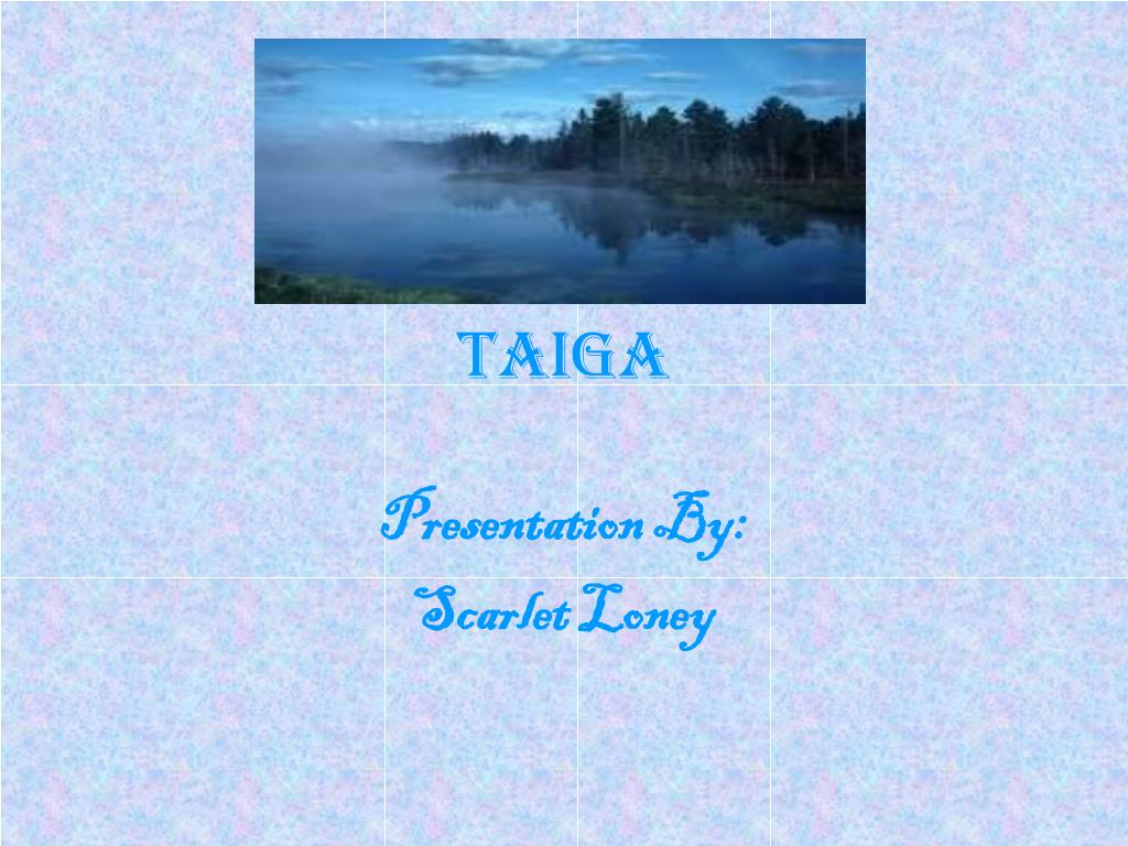 PPT - Taiga PowerPoint Presentation, free download - ID:2601773
