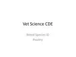 PPT - Veterinary Science CDE PowerPoint Presentation, free download ...
