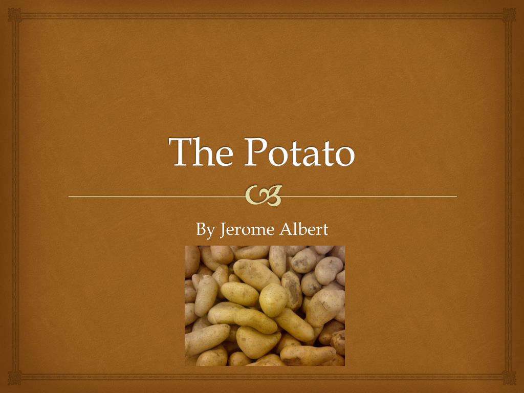 PPT - The Potato PowerPoint Presentation, free download - ID:2605015